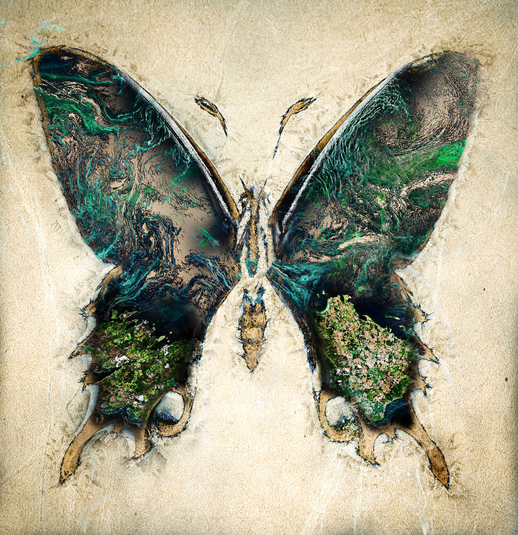 Toxic Beauties: Satellite data meets Art